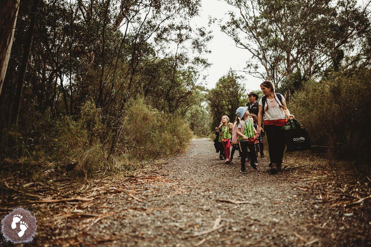 Gresswell Forest Reserve, Bundoora - Eco Explorers