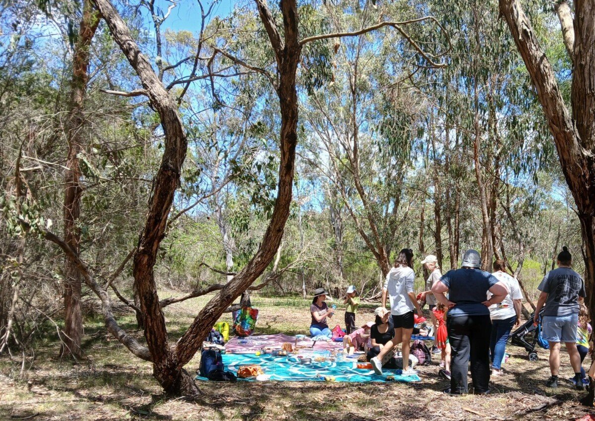 Gresswell Forest Reserve, Bundoora - Eco Explorers