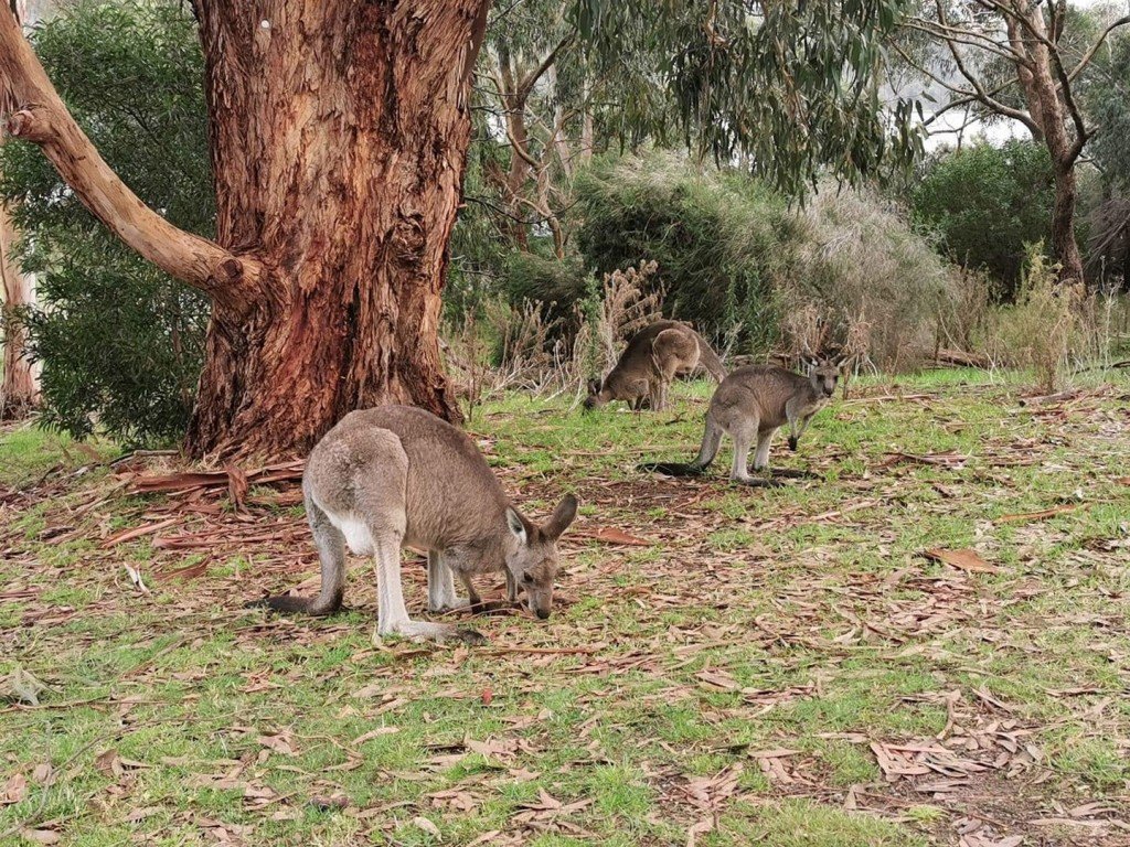 Lysterfield Lake Park Lysterfield - Eco Explorers