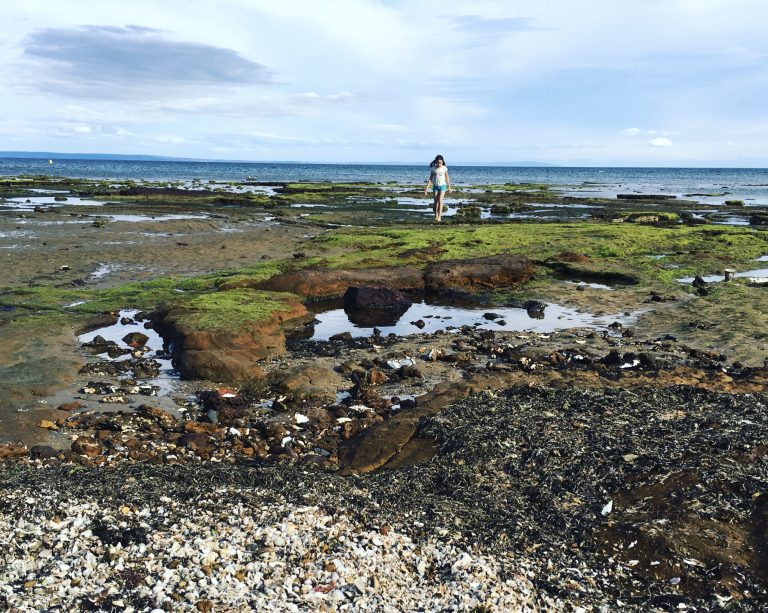 Ricketts Point Marine Sanctuary, Beaumaris - Eco Explorers