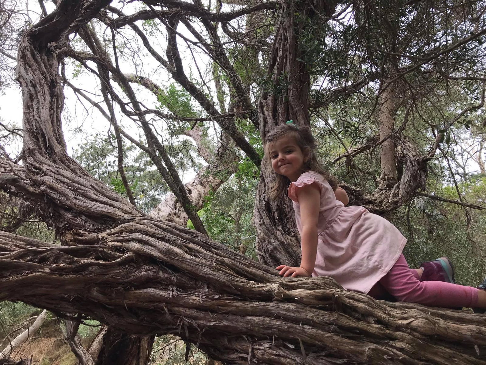 Melbourne Parks and Nature Reserves – Eco Explorers