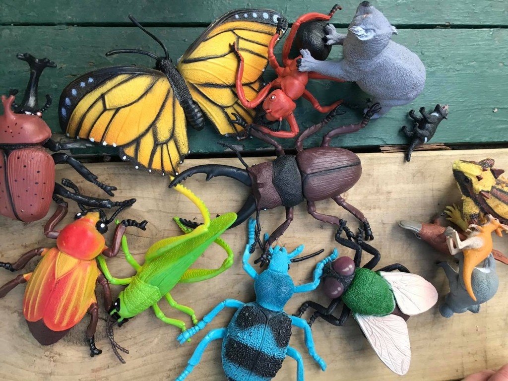 Bugs Toy Play Set - Eco Explorers