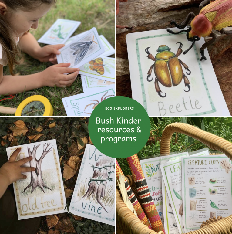 Transforming pedagogy through bush kinder - Eco Explorers