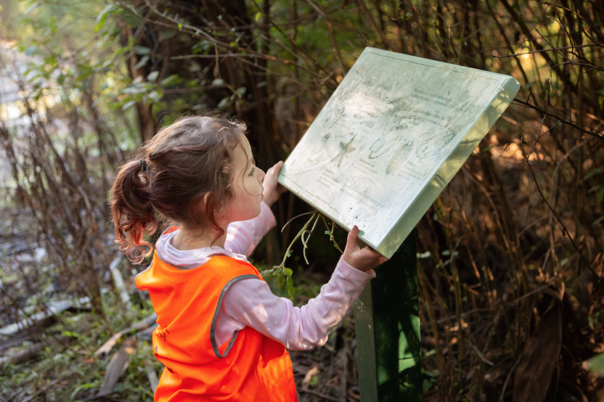 Transforming pedagogy through bush kinder - Eco Explorers