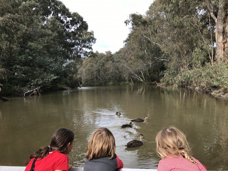 Top bush walks, creeks and nature reserves for families to visit in ...