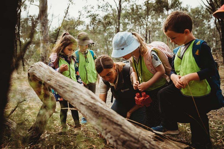Bush Kinder / Bush School Incursions / Excursions - Eco Explorers