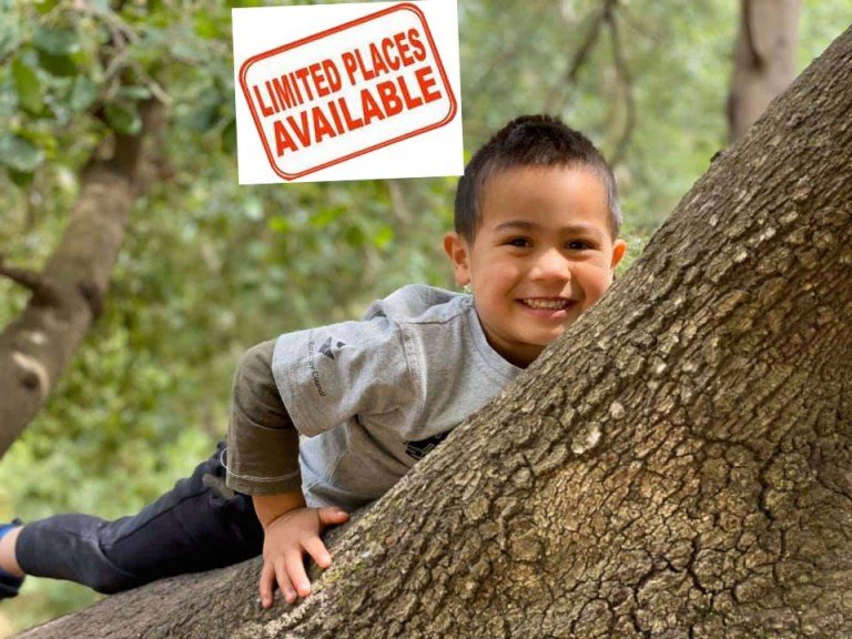 Bush/Beach Kindy Newport Lakes - Mondays PM - Eco Explorers