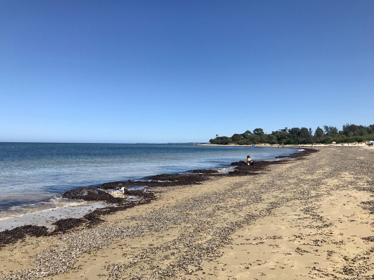 Beach Kindy Kids Ricketts Point - Fridays - Eco Explorers