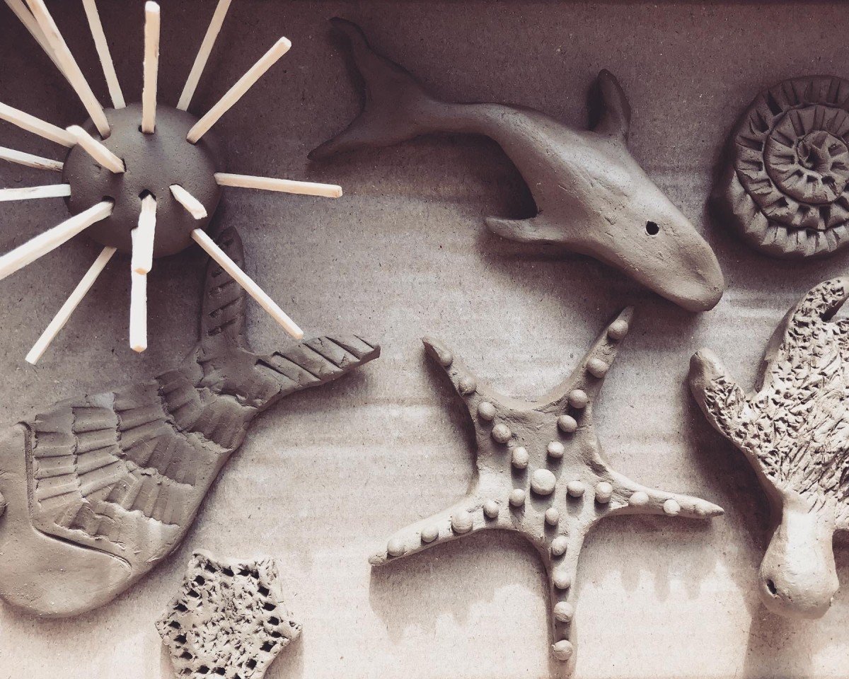 Ricketts Sanctuary - Rockpools & Clay Sea Creatures - Eco Explorers