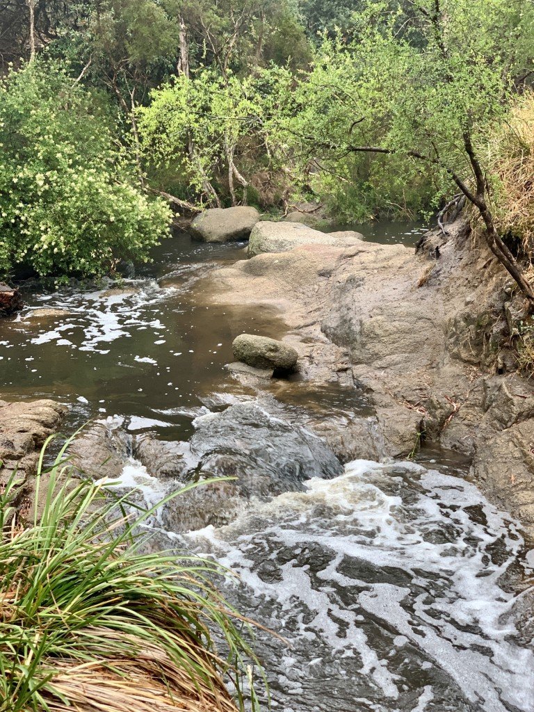 Melbourne Parks and Nature Reserves - Eco Explorers