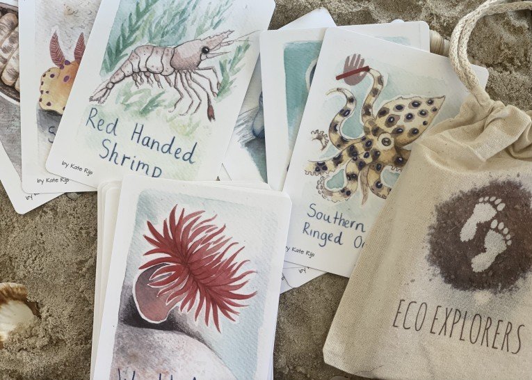 Rock Pool Ramble ID Cards (24) - Eco Explorers