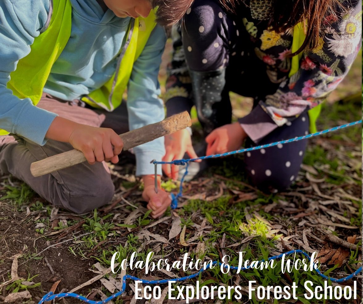 Risky Play the Forest School way! - Eco Explorers