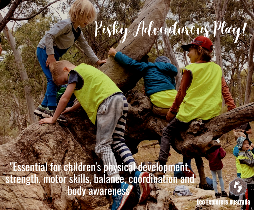 Risky Play the Forest School way! - Eco Explorers Risky Play the Forest School way! - Eco Explorers
