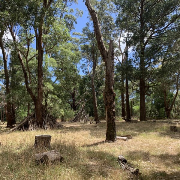 Melbourne Parks and Nature Reserves - Eco Explorers
