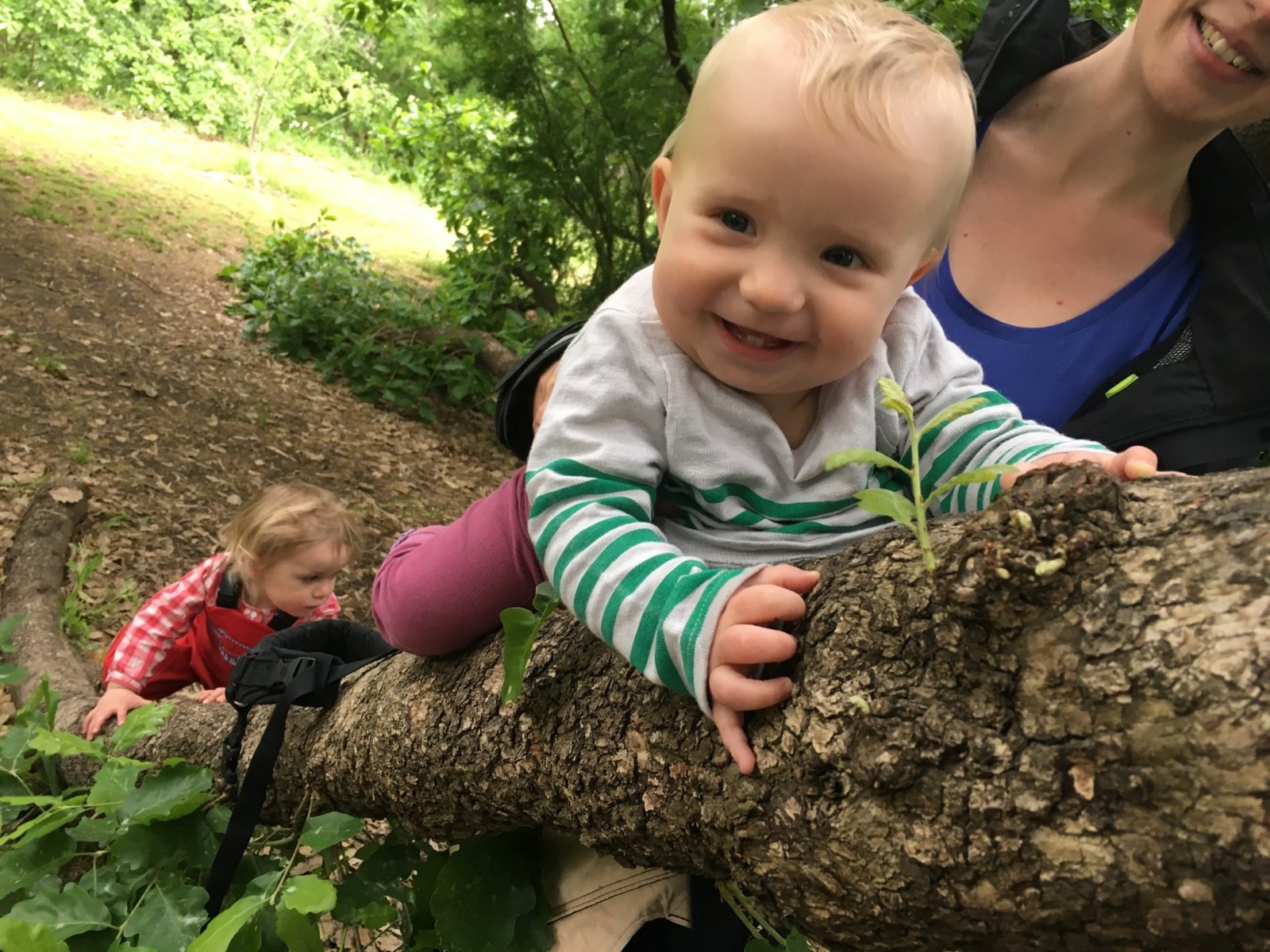 Bush Babies Sensory Playgroup - Eco Explorers