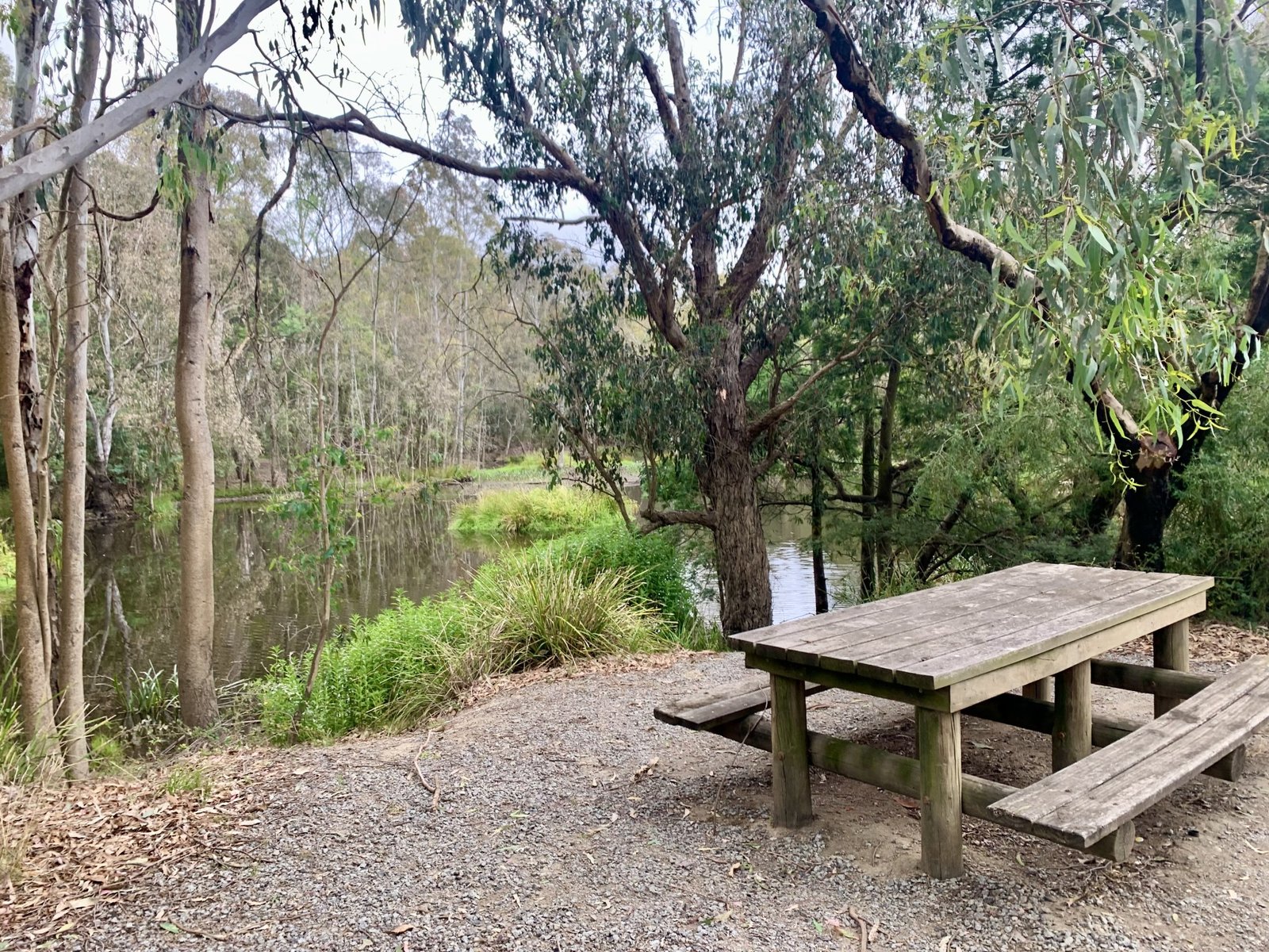 Alphington Wetlands - Eco Explorers